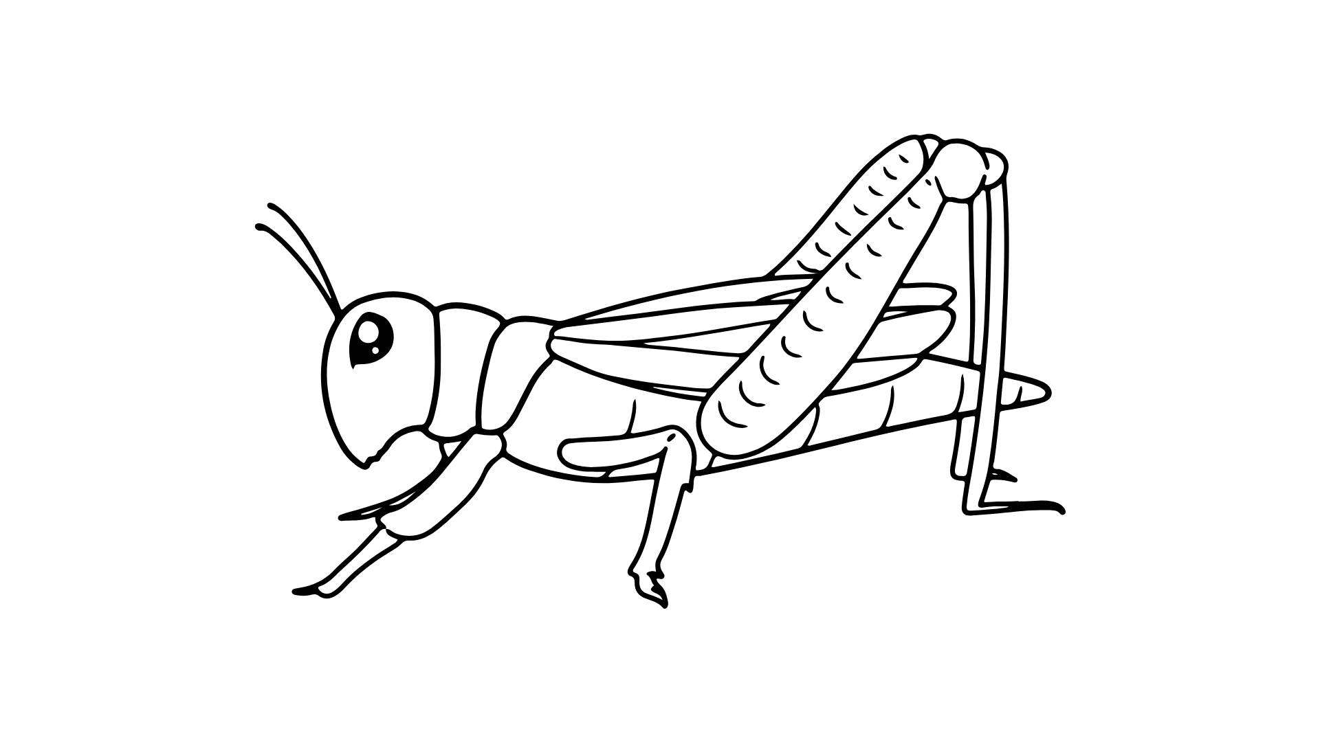 What Brands Use Acheta Powder