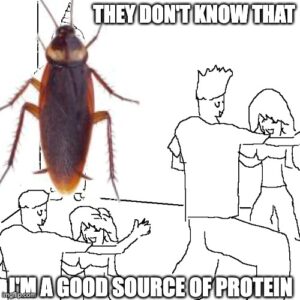 Is Protein Powder Made from Worms? The Truth About Insect-Based Protein